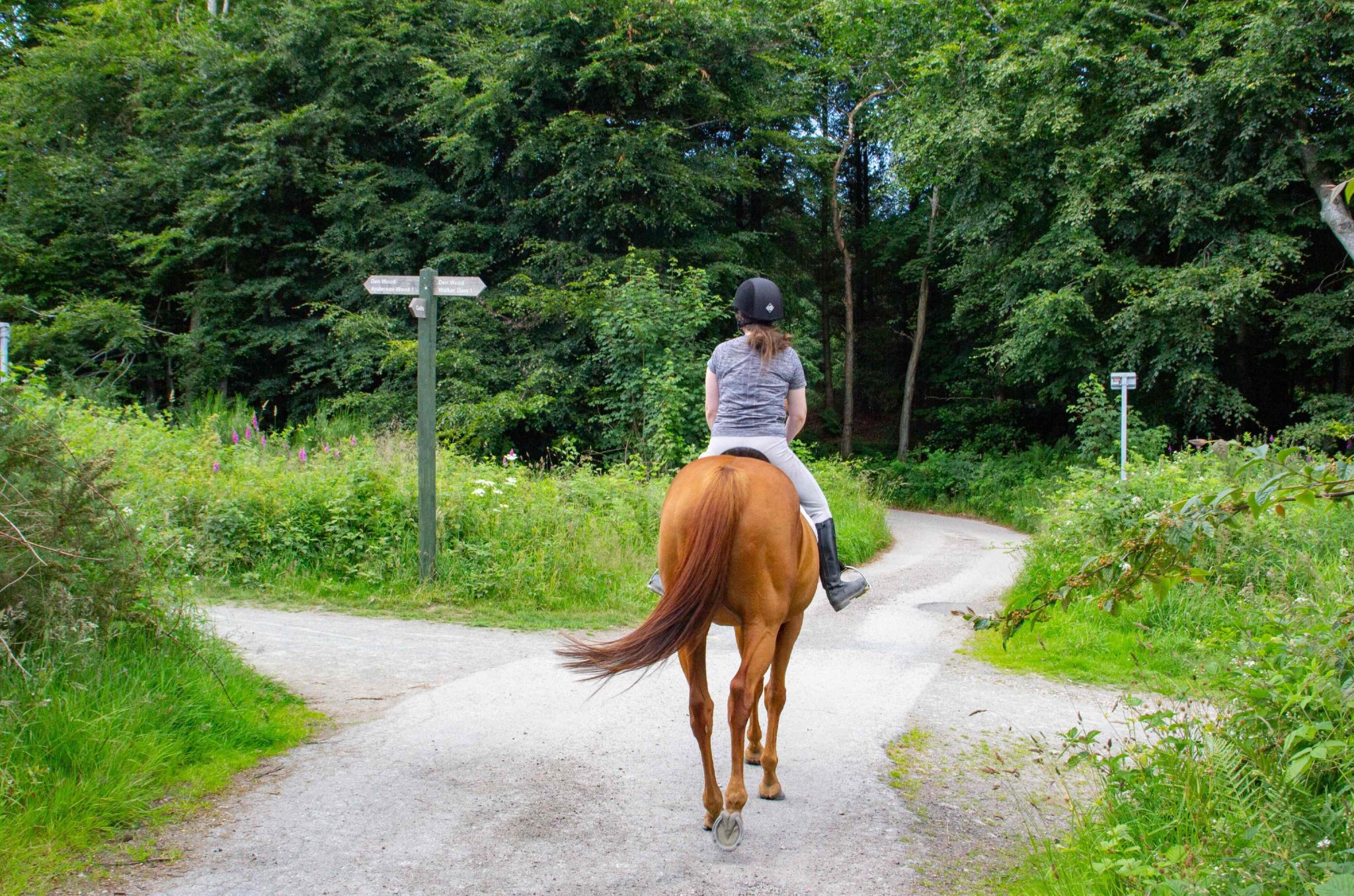 Hillhead Livery, Pitfodels - ANM Group