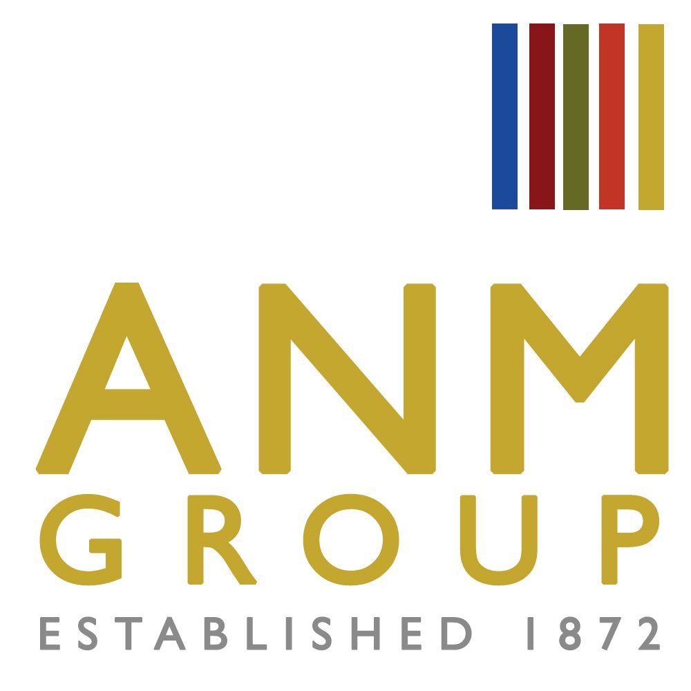 What We Do - ANM Group