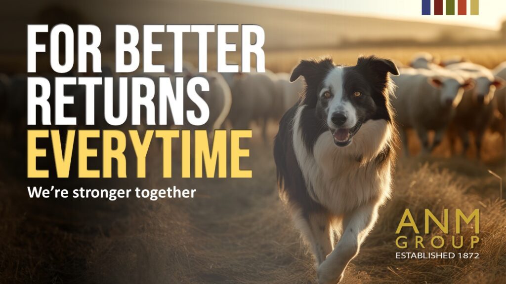 Why Join ANM? - ANM Group
