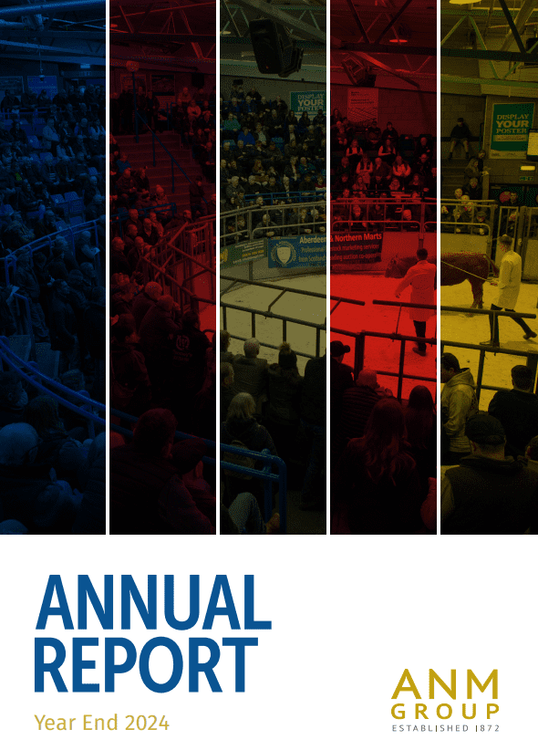 Members News - ANM Group